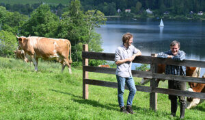 Cheese from the Salzburg Lake District: Woerle Käse
